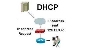 DHCP là gì? DHCP hoạt động như thế nào? | BKHOST
