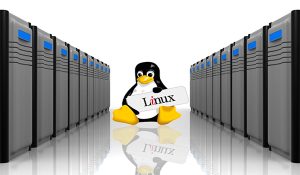 Hệ điều hành Linux là gì? Các bản phân phối Linux | BKHOST