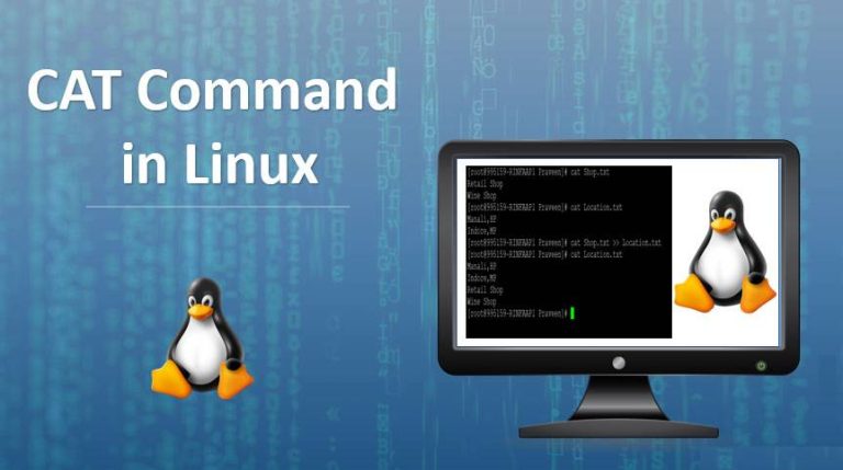 Cat Command Linux - 13 ví dụ về lệnh cat trong Linux | BKHOST