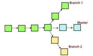 Git Branchs là gì? Cách sử dụng Git Branchs | BKHOST