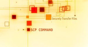 SCP command là gì? Cách sử dụng lệnh scp trong linux | BKHOST