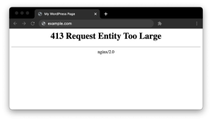 "413 Request Entity too large" là gì? Cách sửa lỗi | BKHOST