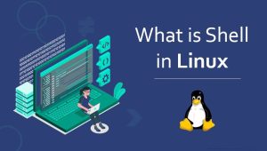 Shell là gì? Tổng hợp kiến thức shell trong Linux | BKHOST