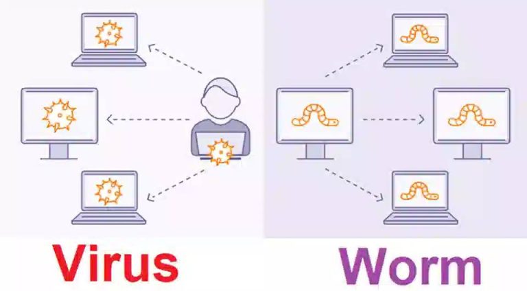 Worm máy tính là gì? Sự nguy hiểm của sâu máy tính | BKHOST