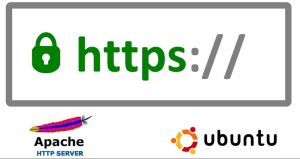 Hướng dẫn 3 bước bật mod_ssl trong Apache cực dễ | BKHOST