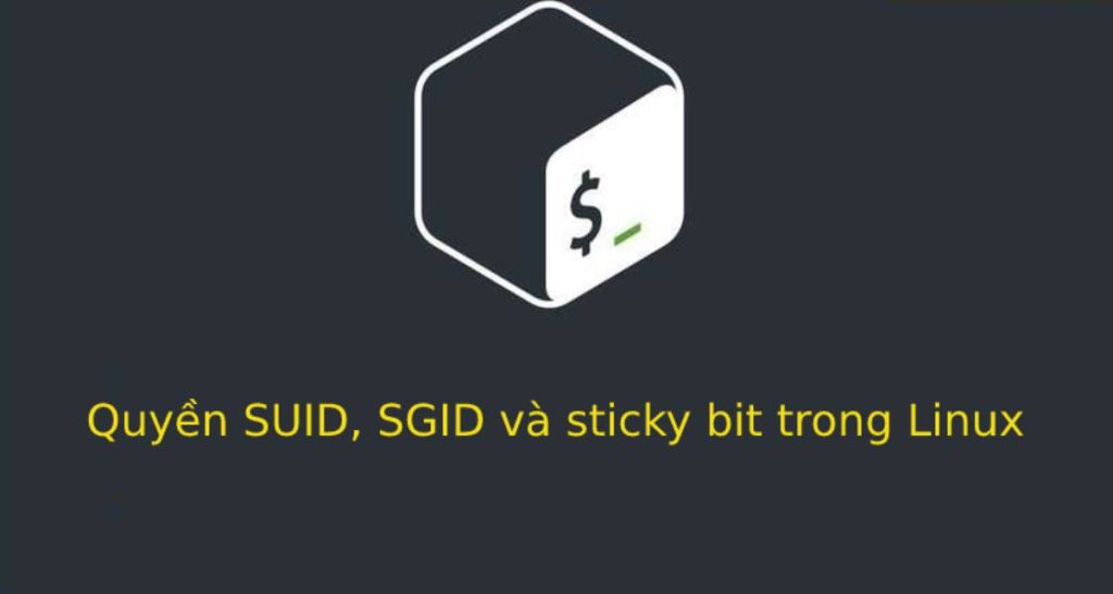 Quyền SUID, SGID và sticky bit trong Linux | BKHOST